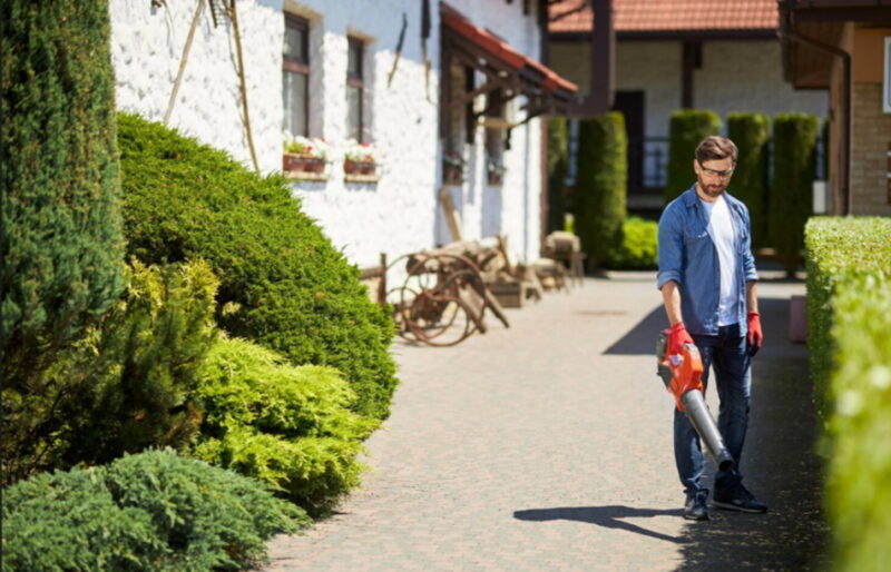 Essential Lawn Care Tips For Vibrant And Healthy Grass - News Observer